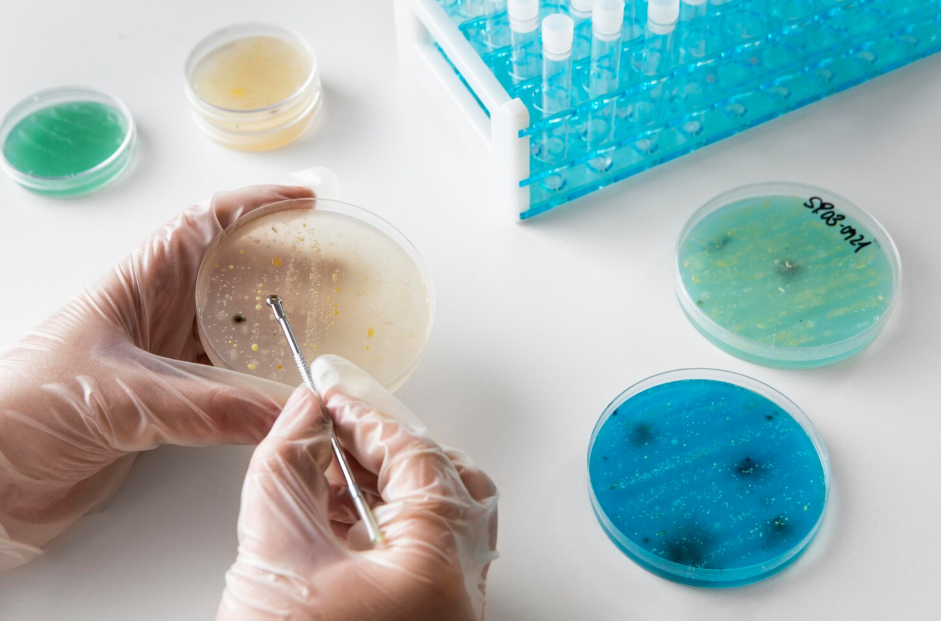 Microbiology and Challenge Testing for Cosmetics: Standards and Pitfal ...
